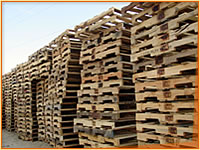 Tarimas Viva La Madera: Tarimas y Pallets